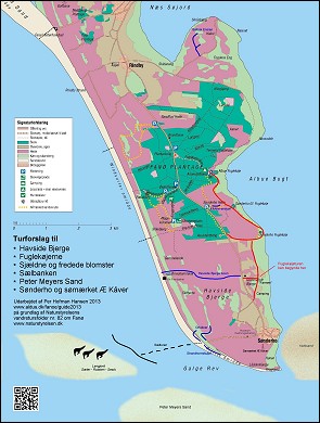 Mein Fanø - die Insel der unbegrenzten Möglichkeiten. Fanø 2013 guiden