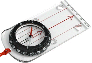 En sælsom tur for hele familien. Af Per Hofman Hansen